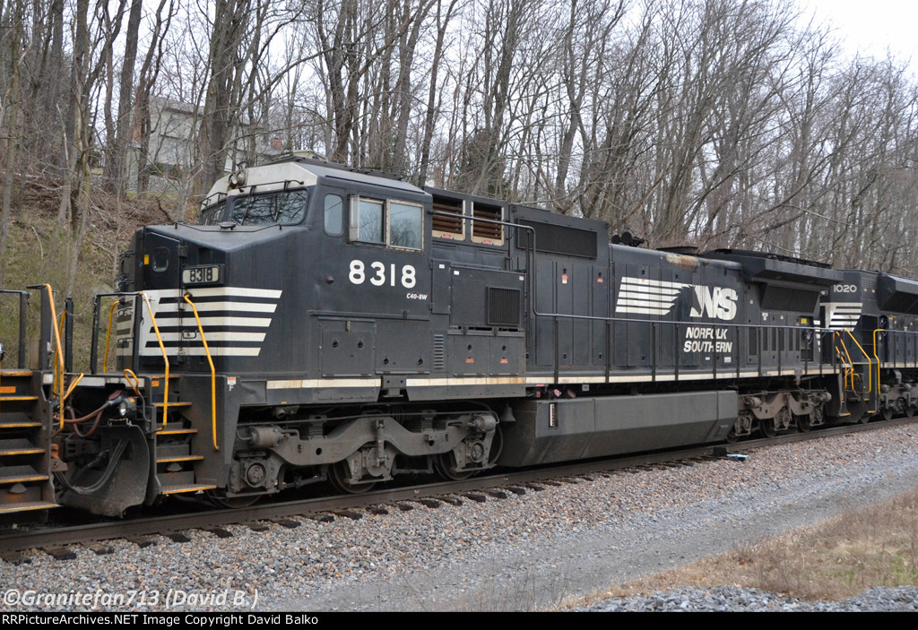NS 8318
